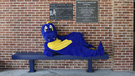 avalon elementary school naples