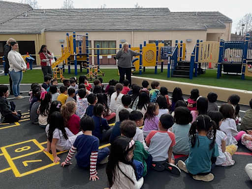 evergreen forest elementary