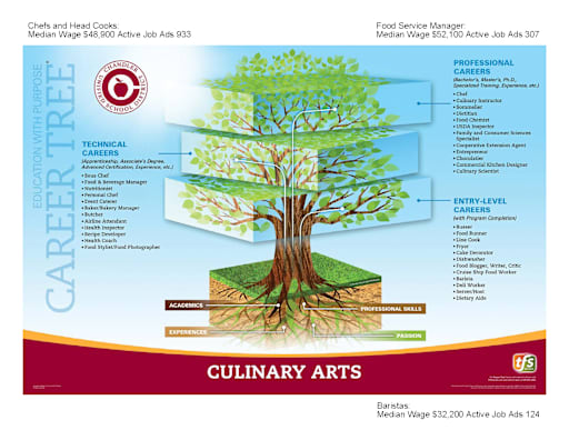 culinary career tree