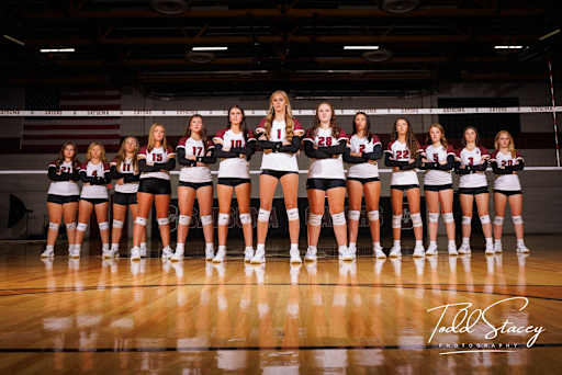 levels of volleyball in high school