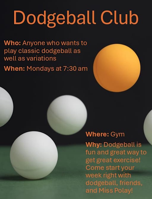dodgeball resources