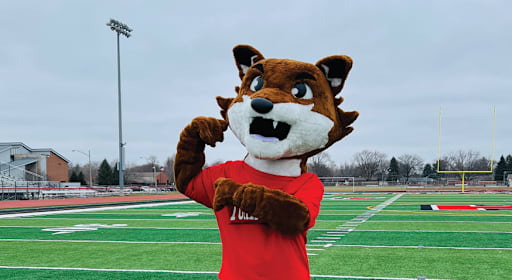 fox school mascot