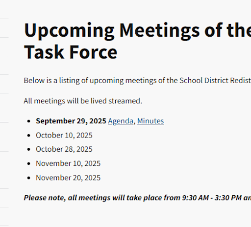 school redistricting task force