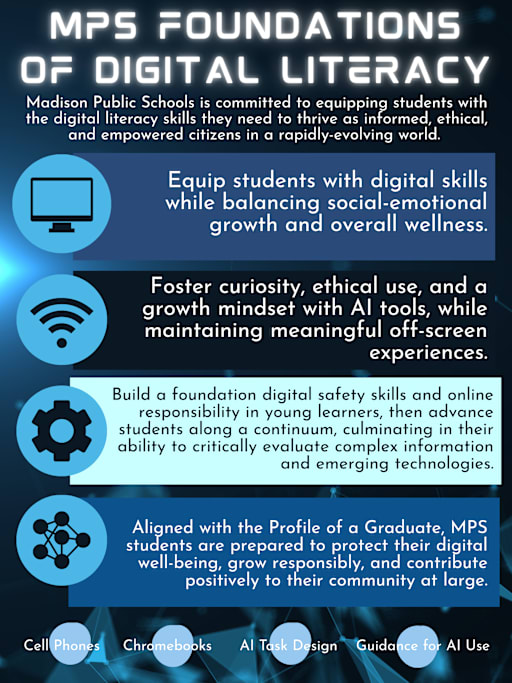 Digital Literacy Infographics