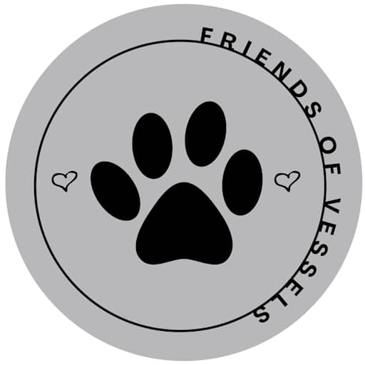 vessel elementary school