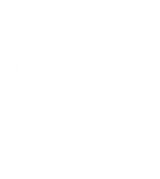 virtual school logo