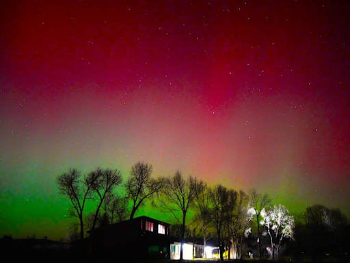 kelly dodson elementary