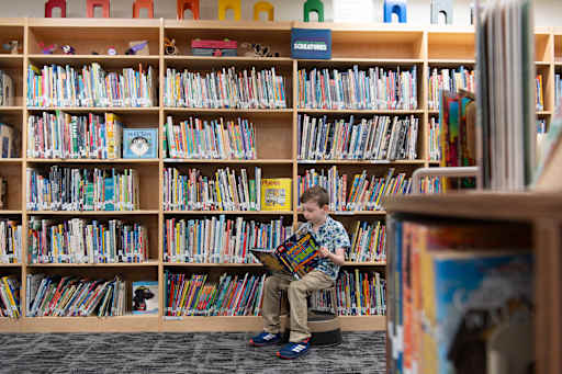 school libraries group