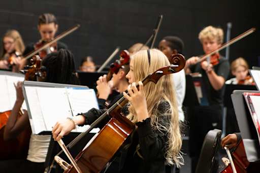 orchestra instruments middle school