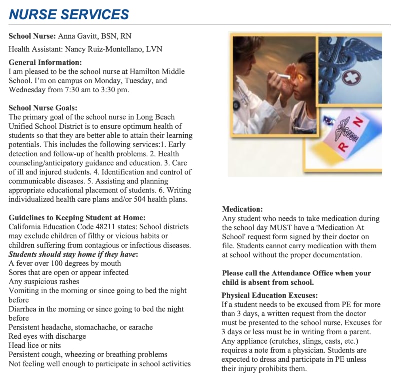 school nursing documents