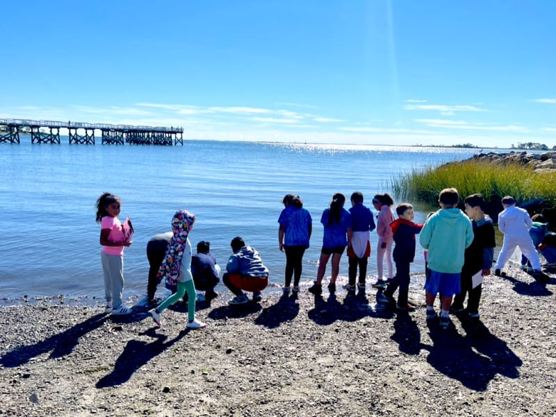 tracy primary school