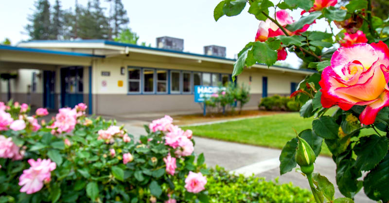 science elementary school