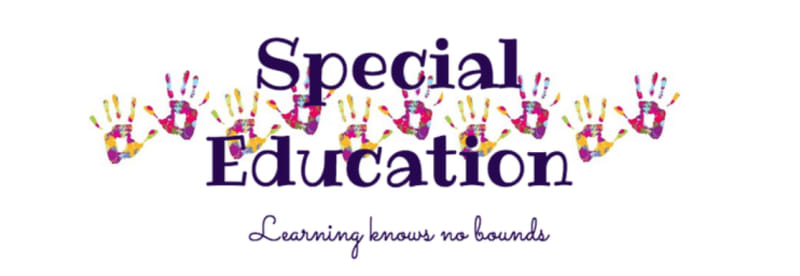 special educational statement