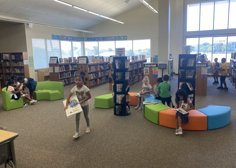 elementary school librarian