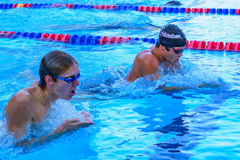 Year-Round Club | Highlander Aquatics
