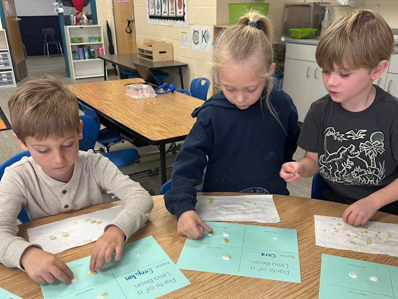 Home - J. Larry Newton Elementary School