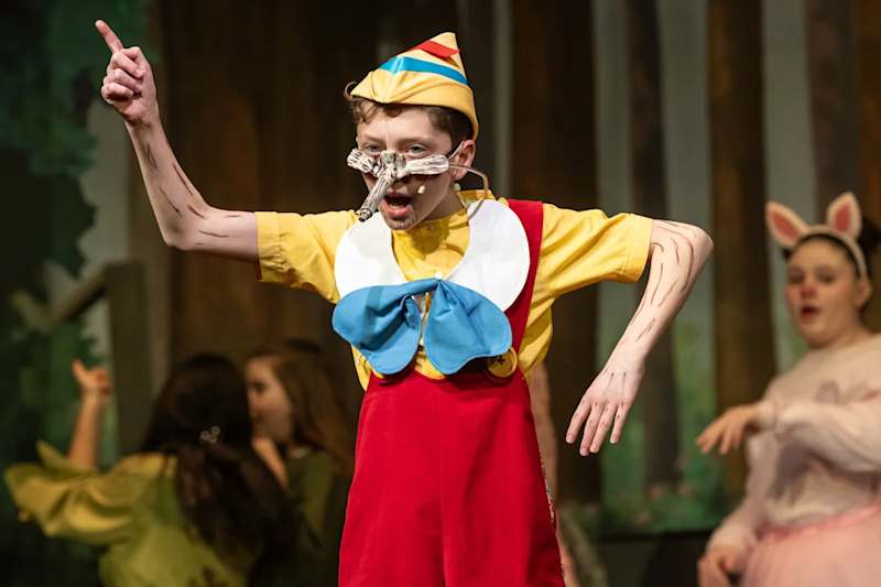 WVCSD Artist of the Week: Max Paltrowitz | Post Details (DBPP)