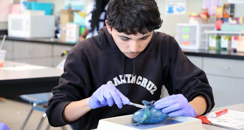 what does base school mean