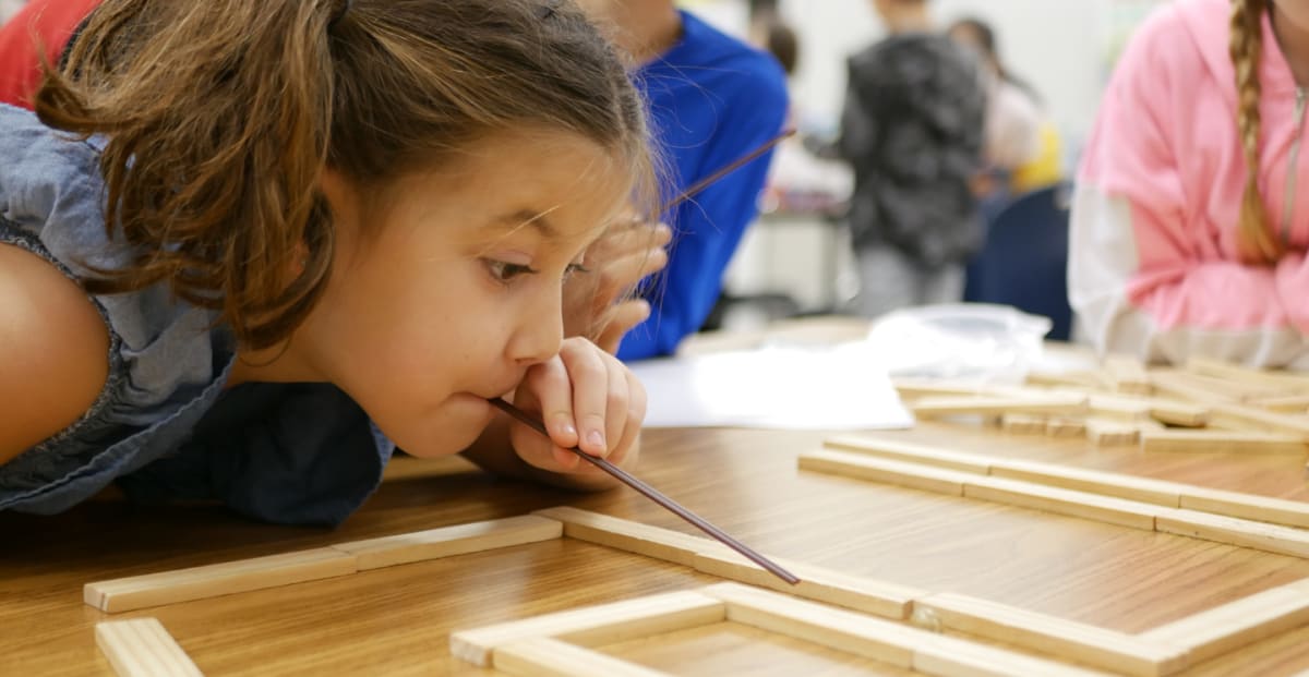 carm web contact form