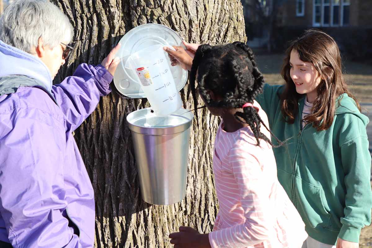Park Ave students tap for sap as part of district-wide syrup project ...