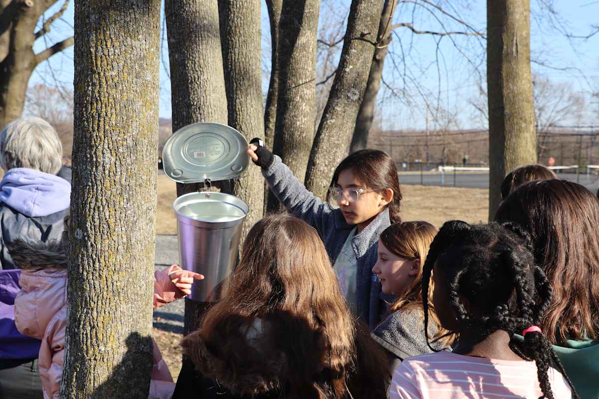 Park Ave students tap for sap as part of district-wide syrup project ...