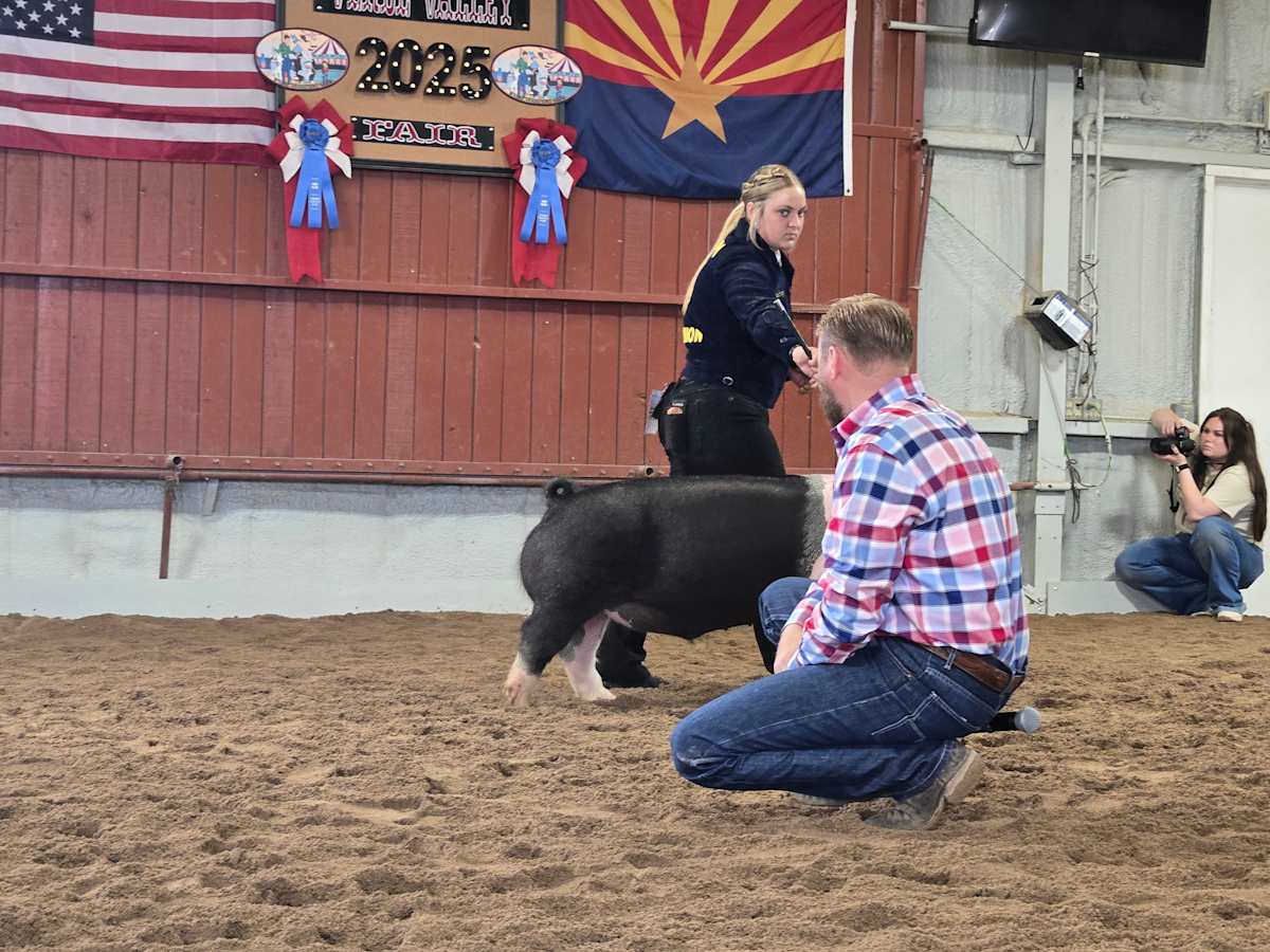 Home - Mingus Union High School District 4