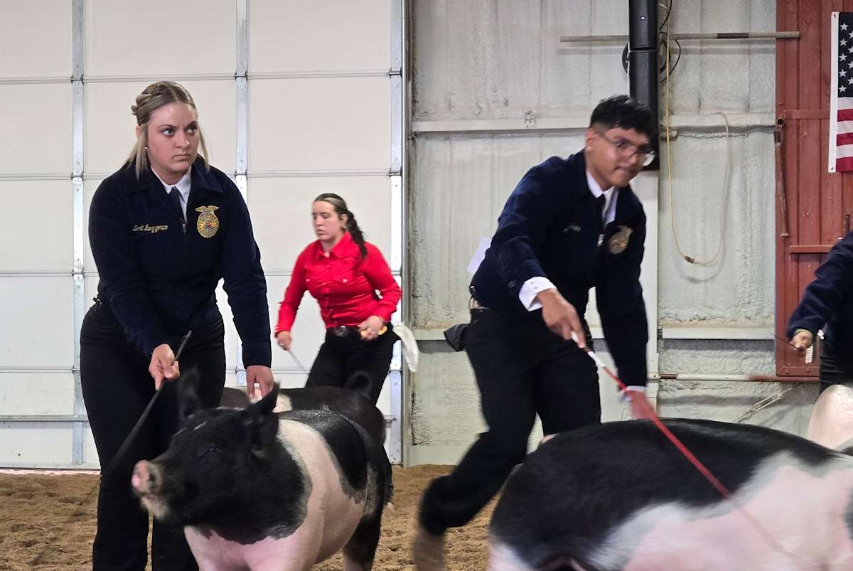 Home - Mingus Union High School District 4