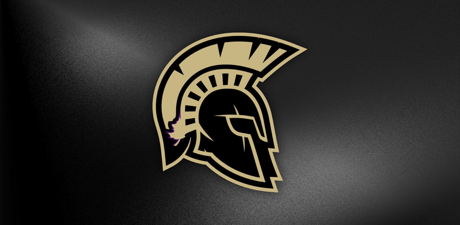 Sycamore Spartans Logo