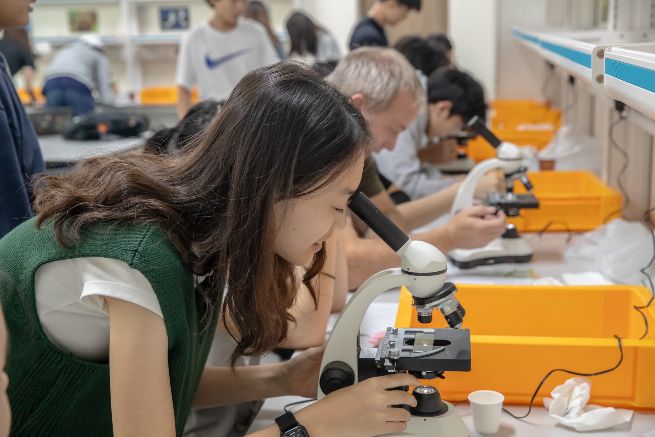 korean high school study