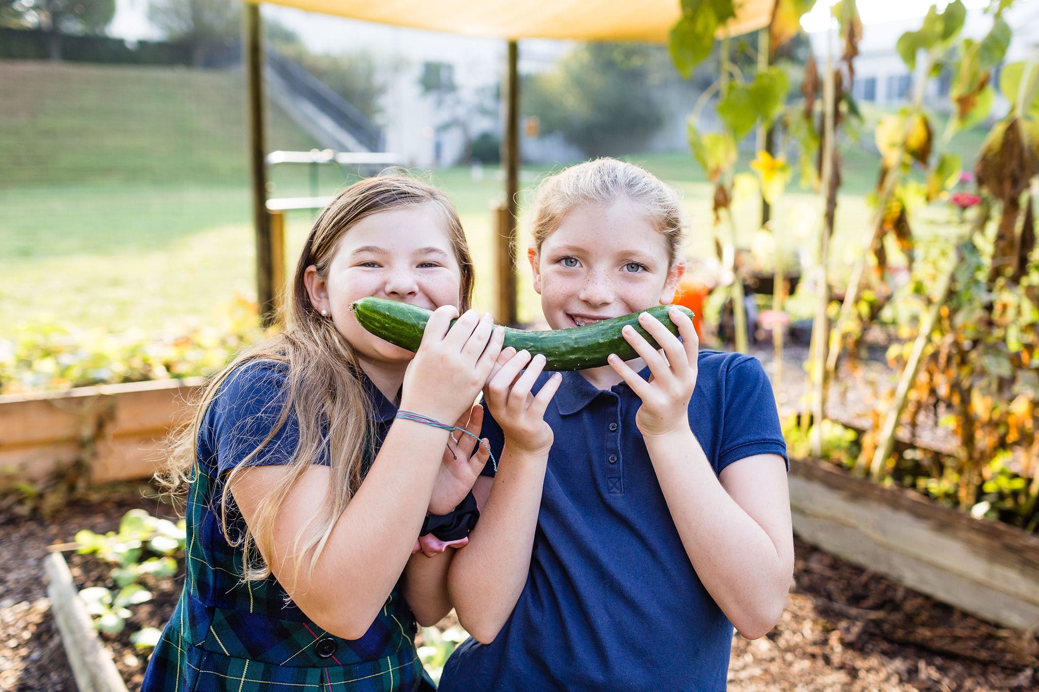 Home - The Odyssey School