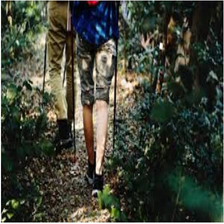 Heidi Endres's Instagram, Twitter & Facebook on IDCrawl