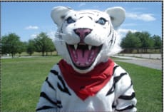 Spring Garden School Logo