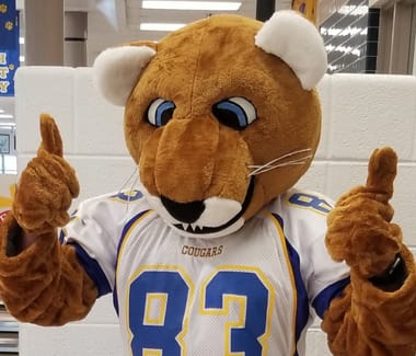 Stone High School Mascot Stone High School (Wiggins, MS) Varsity