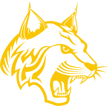 Aberdeen Bobcats Brookings Bobcat Football Vs Aberdeen Central Golden