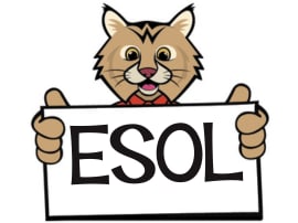 What Is Esol In School