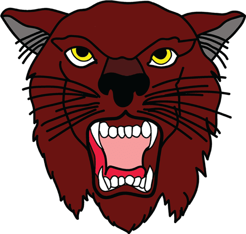Calallen Wildcat Logo