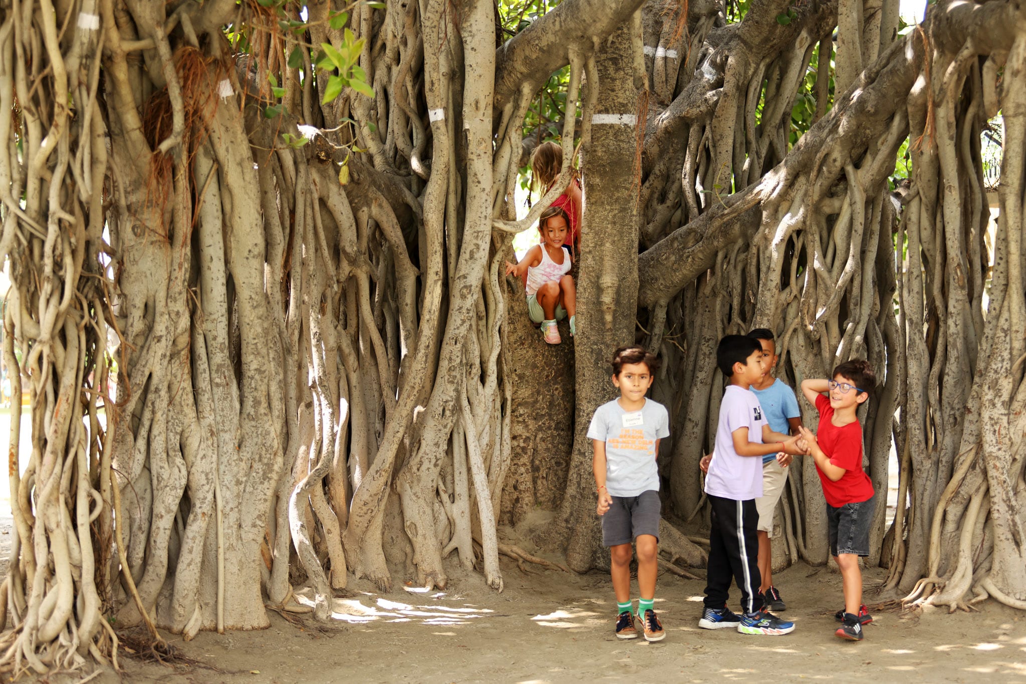 The Banyan Tree School New Delhi
