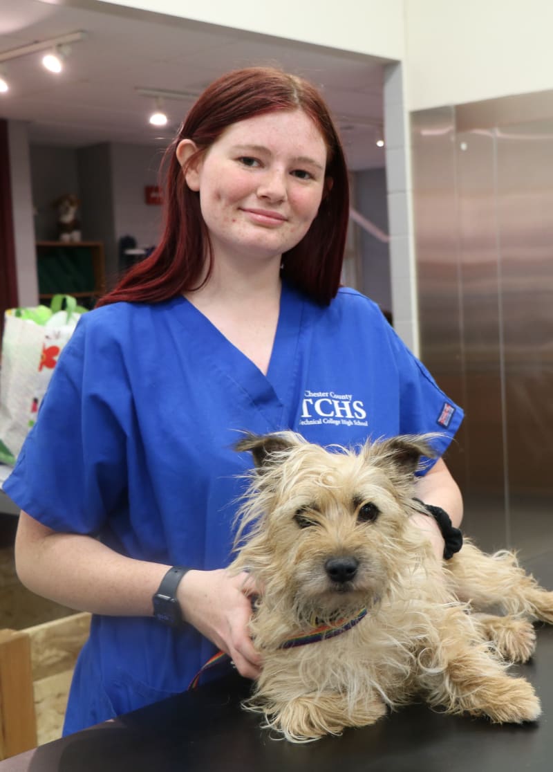 Veterinary Science - Technical College High School Brandywine Campus