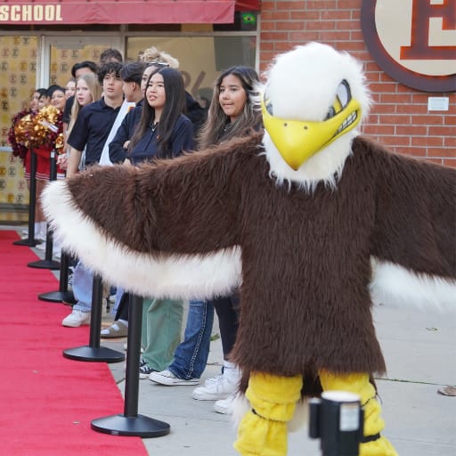 Mascots Scoile Ard Is Measa