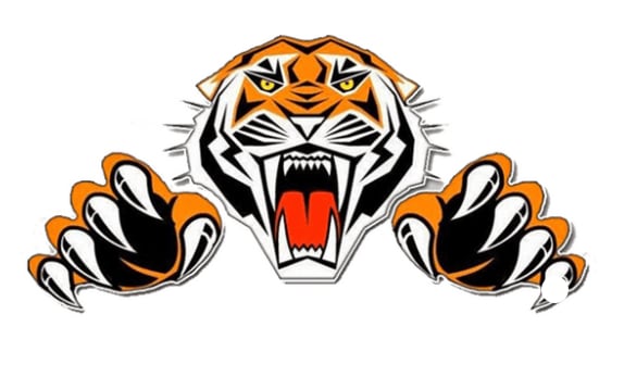 TIGER NEWS - Harmony School of Technology - Houston