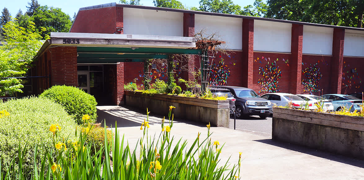 Home - Bolton Primary School