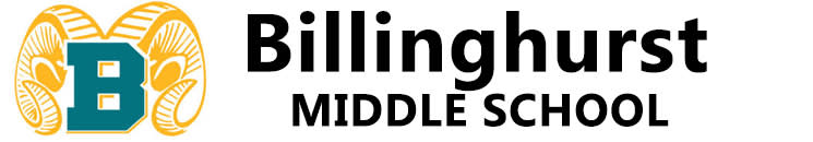 Our School - Billinghurst Middle School