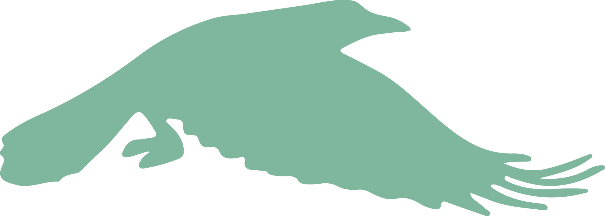 Graphic Elements - Ravenscroft School