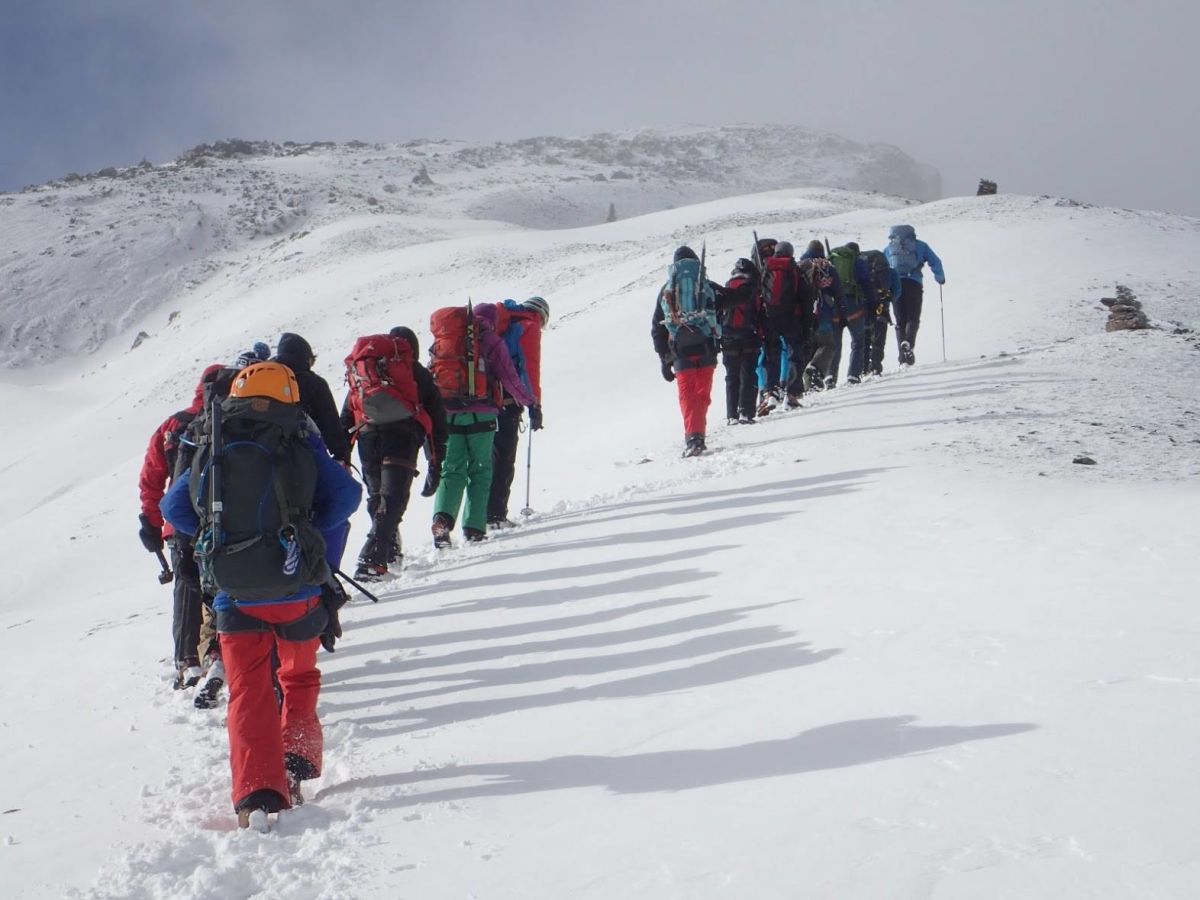 Introducing the LAS Alpine Institute | post