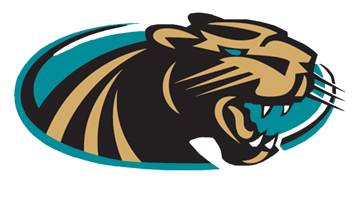 Code Blue protocols enacted at Christopher High School following ...