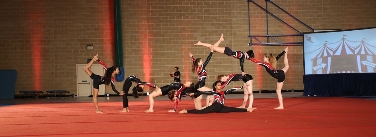 Gym Display 2019 | LEH Stories - Read more