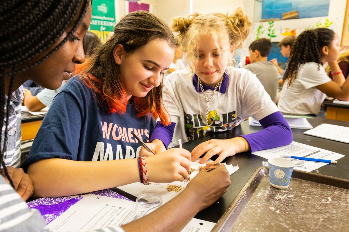 My Favorite Parts of PC Middle School | A Student Voice