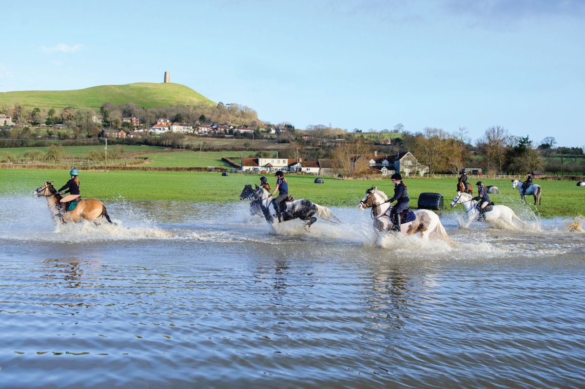 Millfield Prep School website wins international creative award | News ...