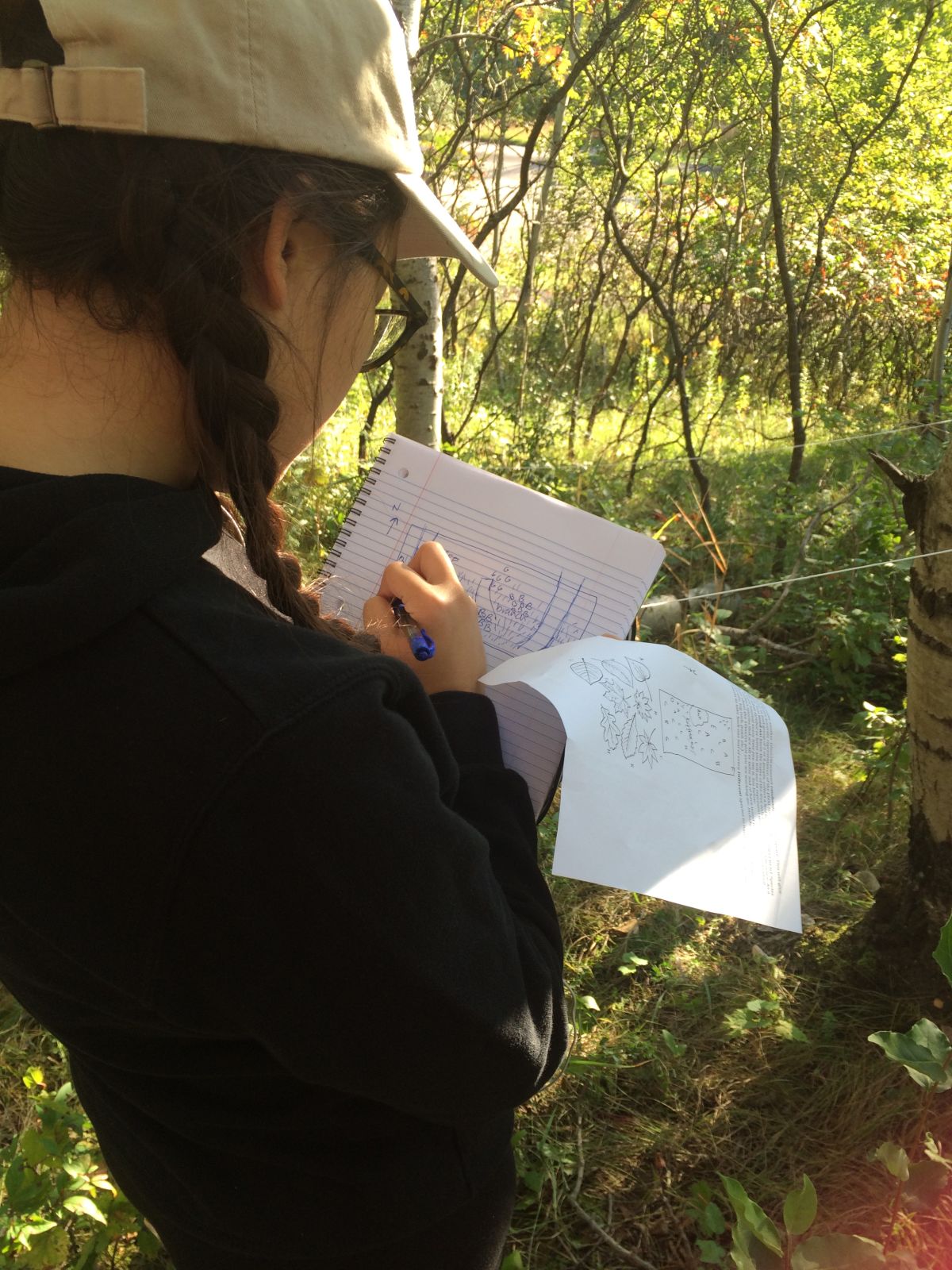 AP Environmental Science - Grade 12 | individual class