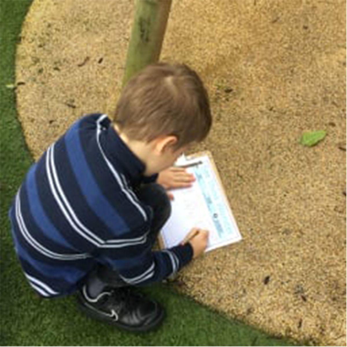 Observing our environment | News Post